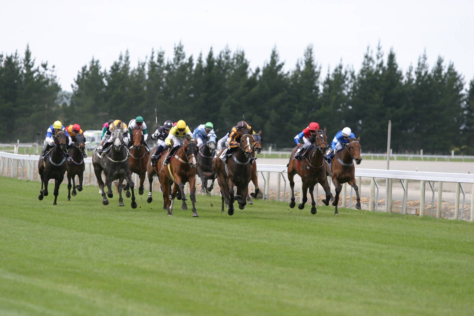 Racing Minister approves TAB’s Entain deal