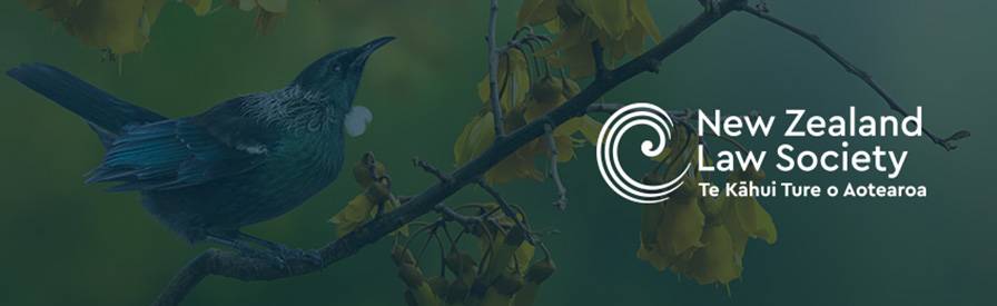 Lawyer’s ‘crusade’ brings misconduct charge