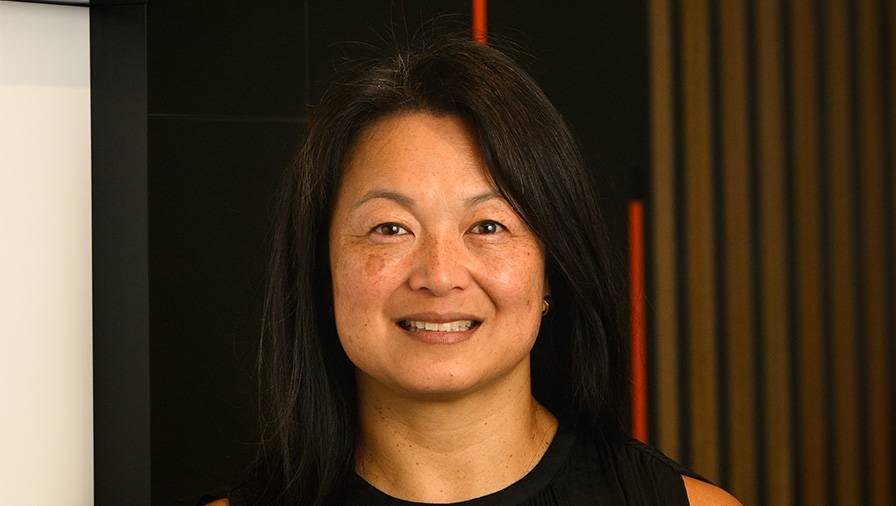 New CEO for Electricity Networks Aotearoa