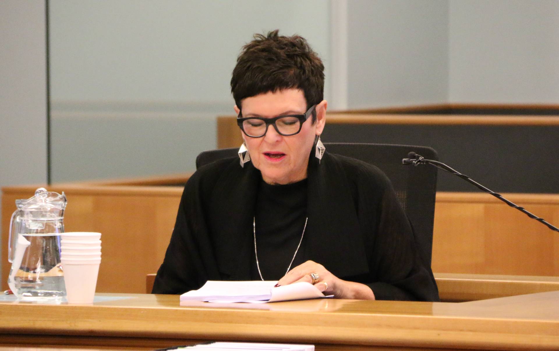 Shipley ‘optimistic’ about Mainzeal’s financial position to the end