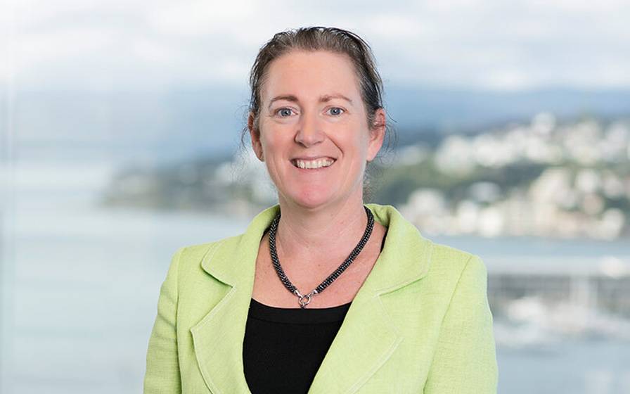 Jennifer Kerr and Shaun Hendy appointed to Callaghan Innovation board