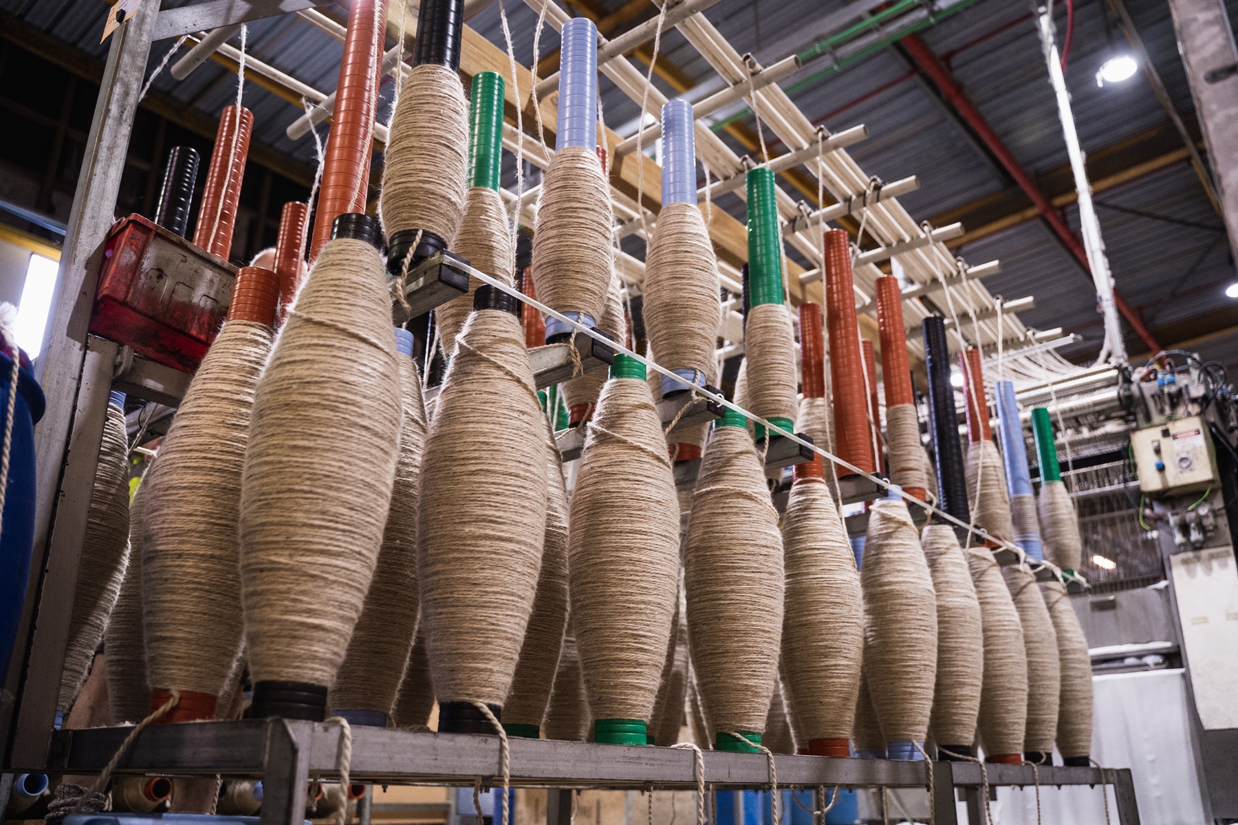 The best little wool company in the world