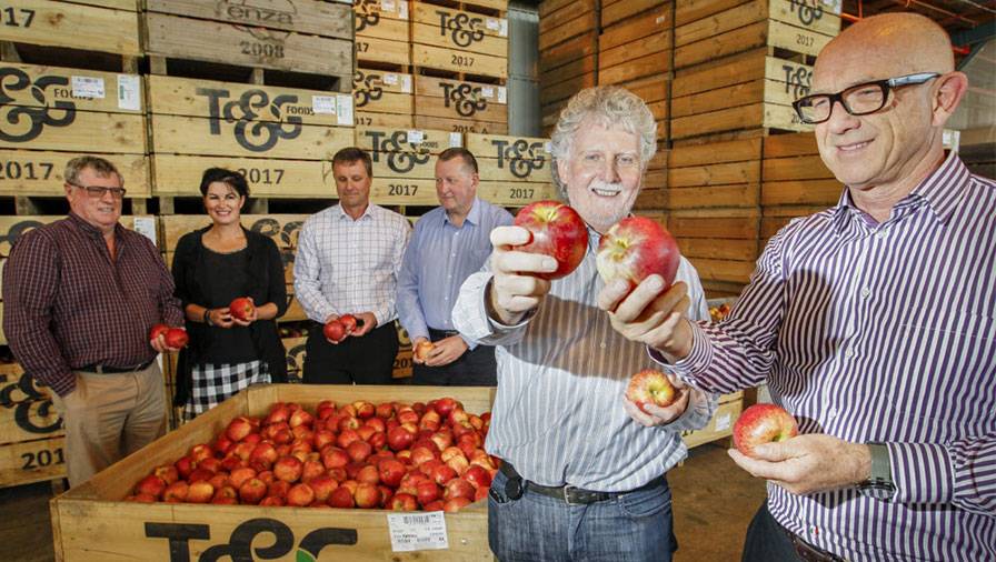T&G Global buys Freshmax NZ for $30m