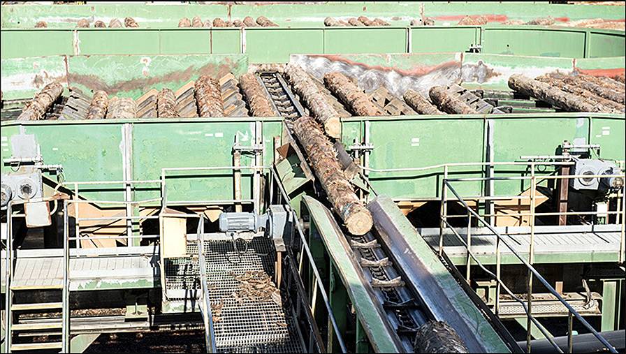 Carter Holt Harvey mill likely to close