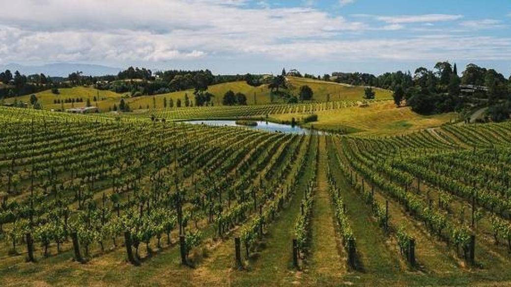 Casino mogul wants 'life-altering' wine case moved to Nevada