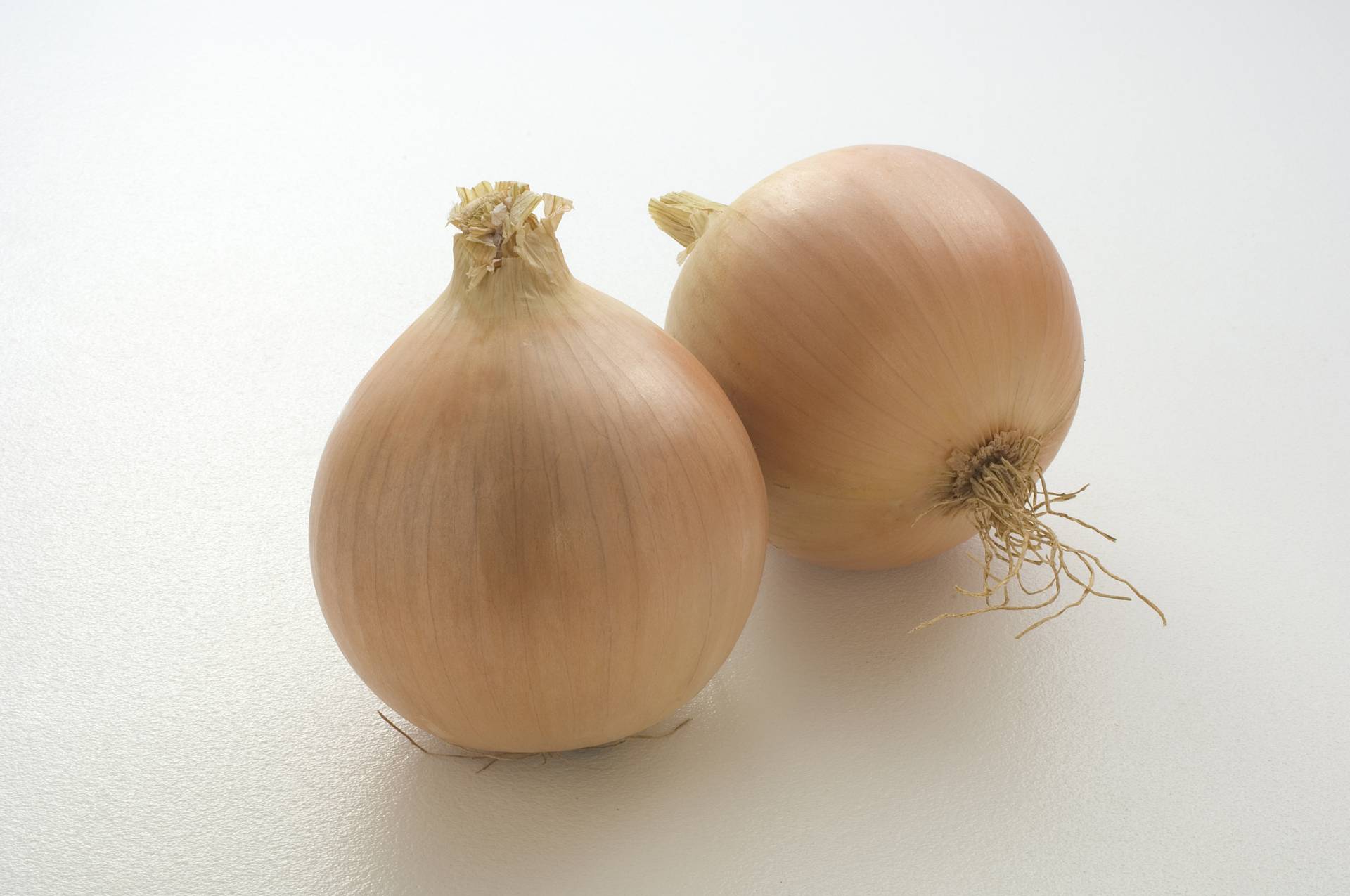 No crying necessary: report from NZ onion field