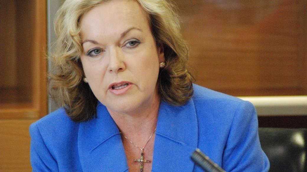 Collins says caucus has common goal to defeat coalition