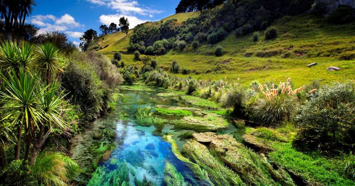 Resource Management Act to go – but what will replace it?