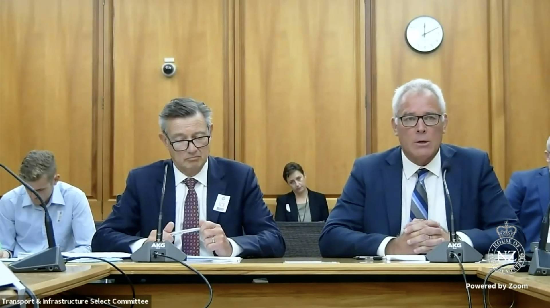 Meridian CEO tells MPs consenting speed is vital