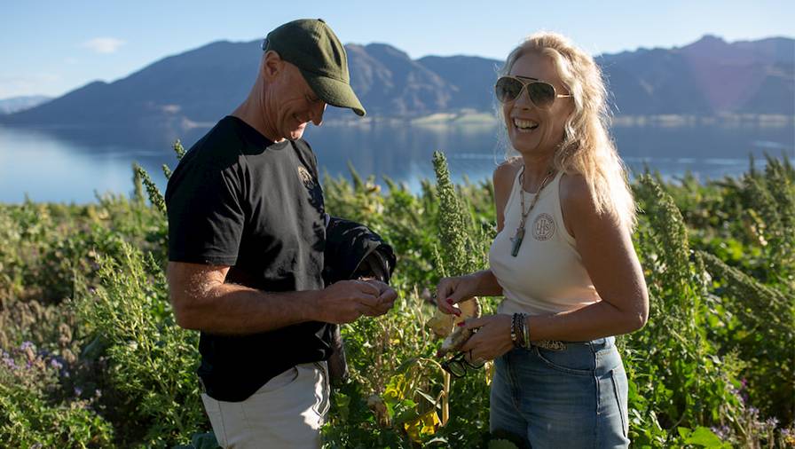 Why Geoff Ross is so excited about sheep