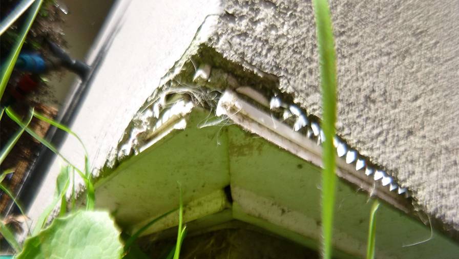 Systemic leaky home failures sheeted home to James Hardie, court hears