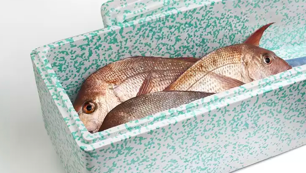 ZealaFoam eyes global market with eco-friendly packaging