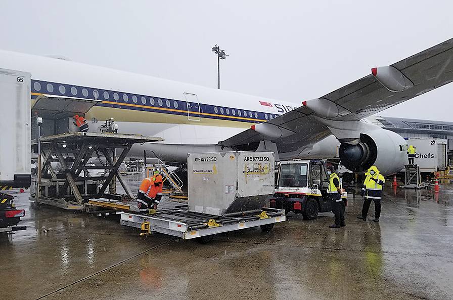 Maintaining international air connectivity is important