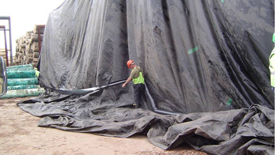 Hope for Indian log market resuscitation as new fumigant approved