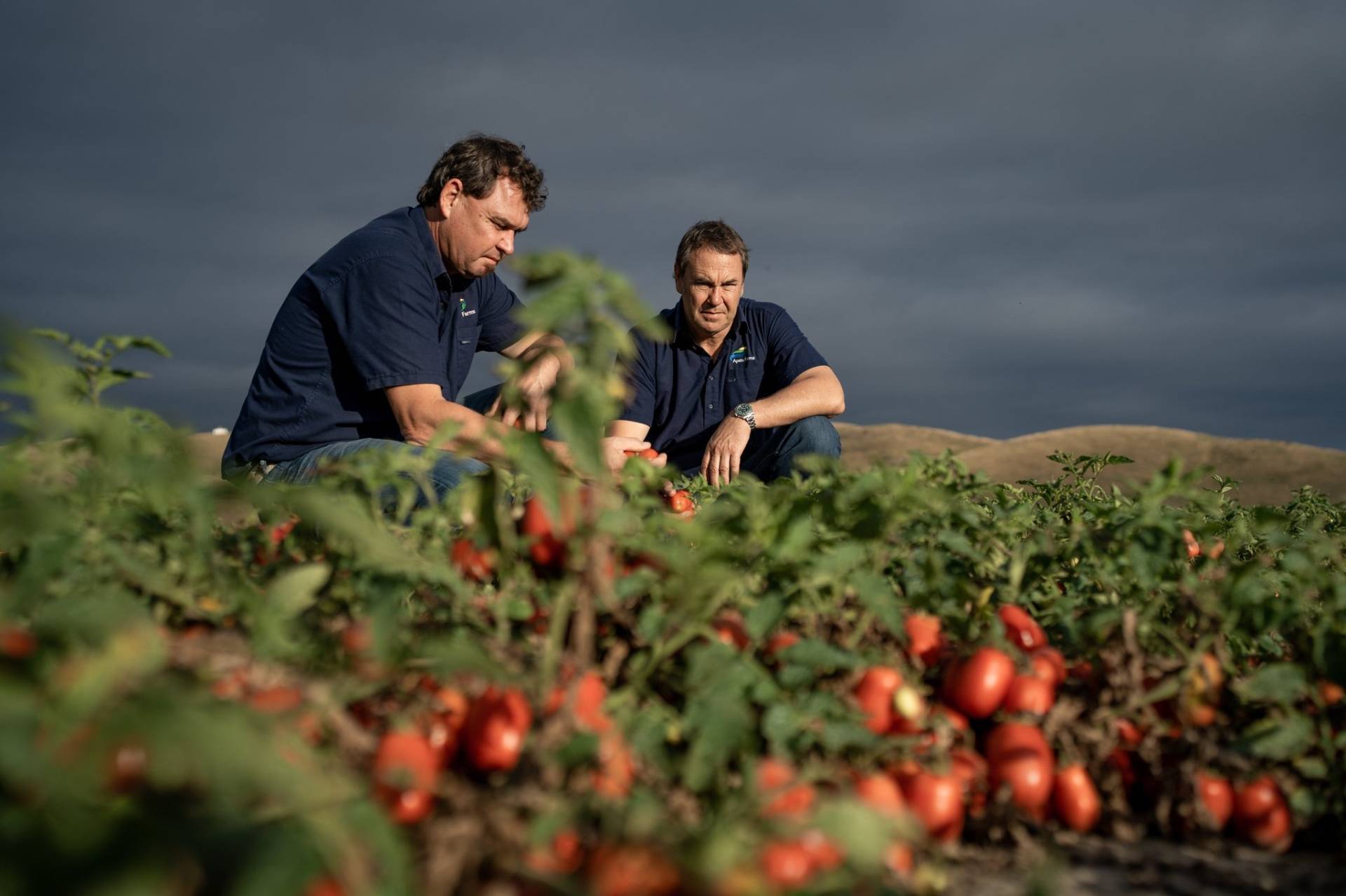 The NBR List 2022 Newcomers: Apatu brothers