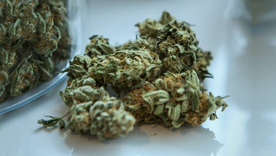 Nubu to distribute first locally grown cannabis flower