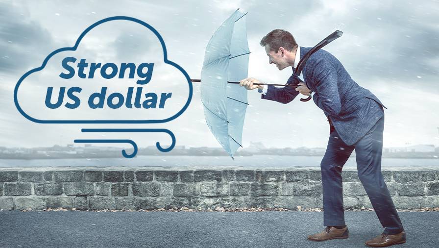 Stronger US dollar a headwind for US big tech earnings