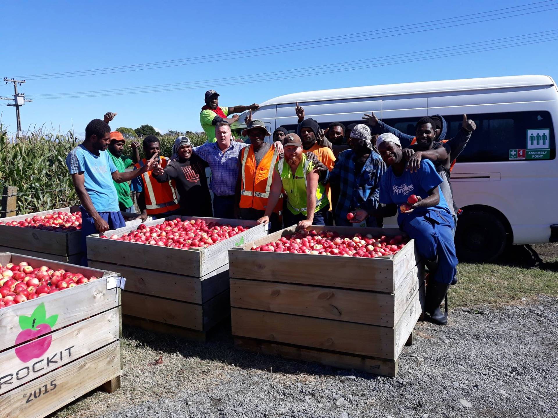RSE scheme gets tune up in apple central, Hawke’s Bay