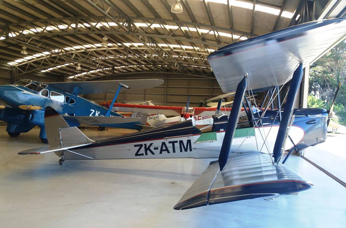 Tiger Moths swarm in the South
