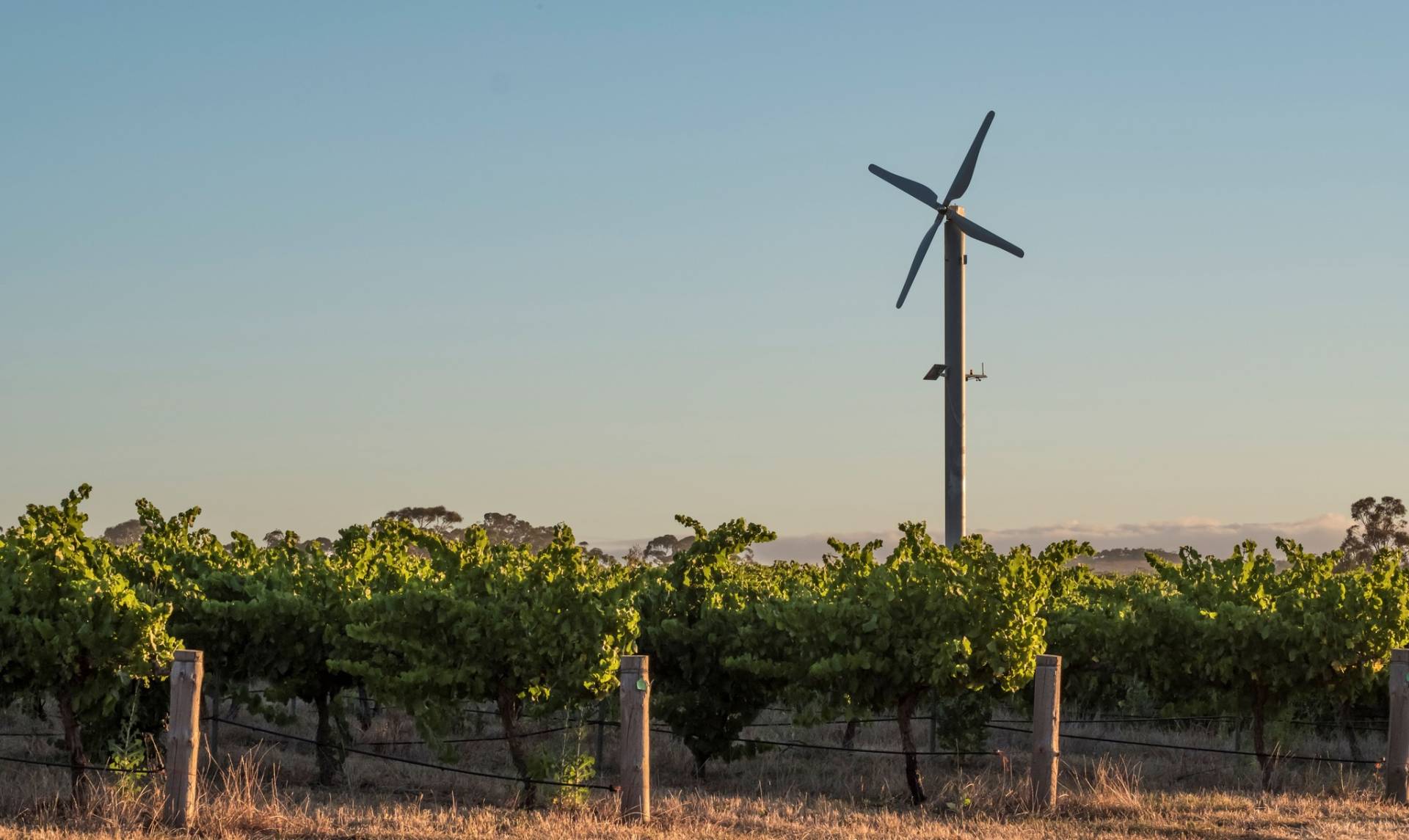 FrostBoss fans target bigger client base as climate heats