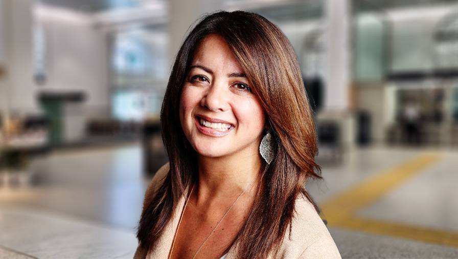 Spark NZ appoints new director to board