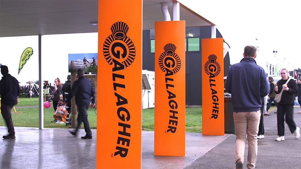 Joint acquisition with Barenbrug viewed as win-win by Gallagher