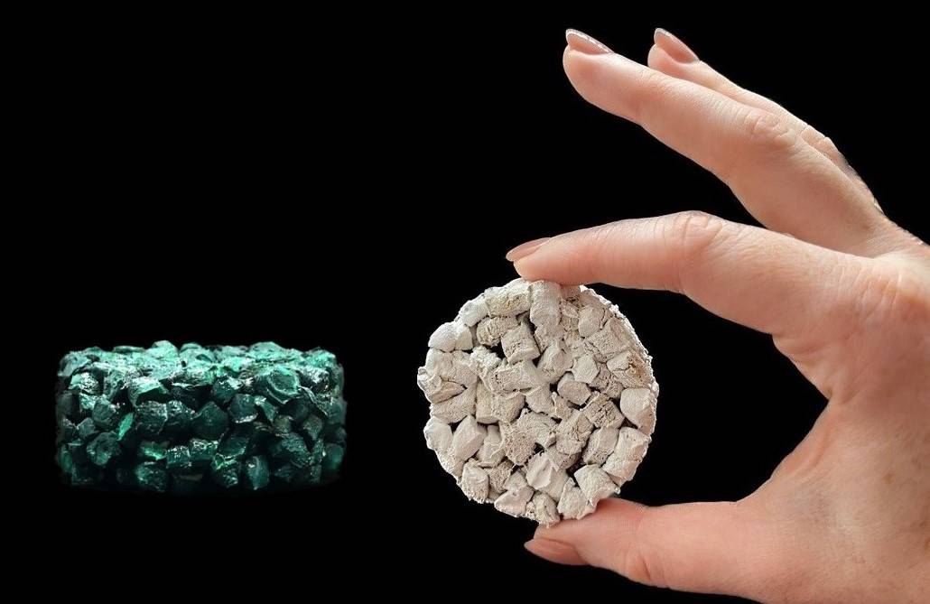 Mushroom Material raises $8.5m to build Auckland pilot plant