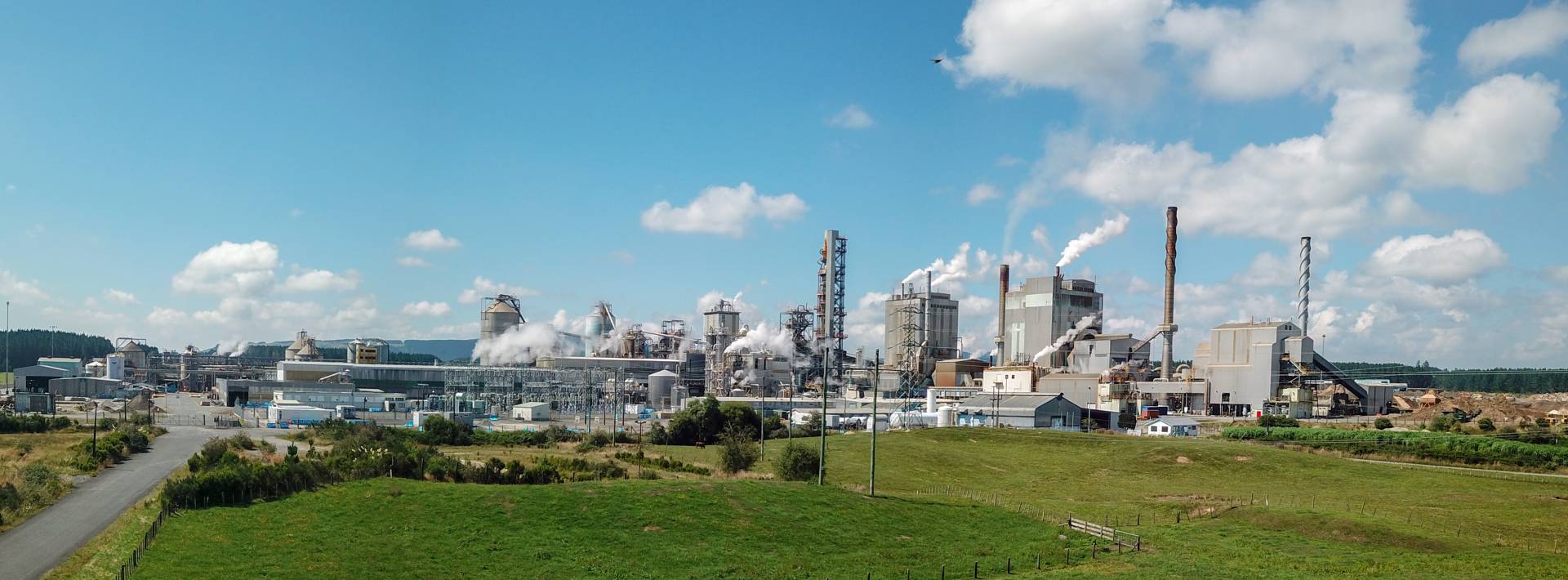 Oji Fibre confirms paper plant closure at Kinleith
