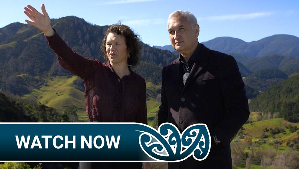 Rewind 2024: Nelson Tenths