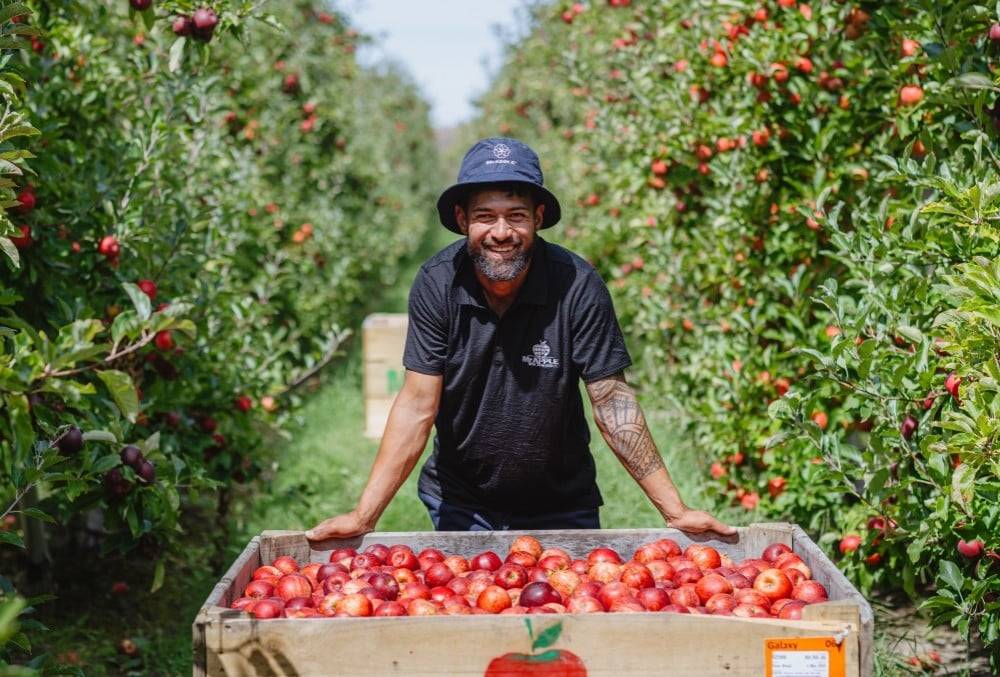 High tech apple facility to form core of new $1b syndication