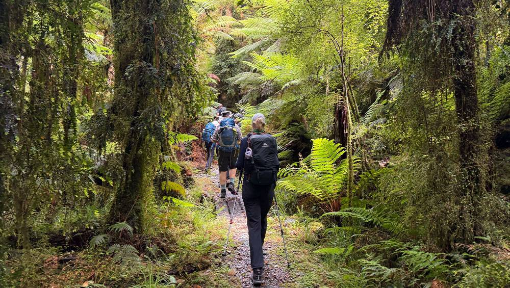 Hollyford, Ngāi Tahu’s taonga walk