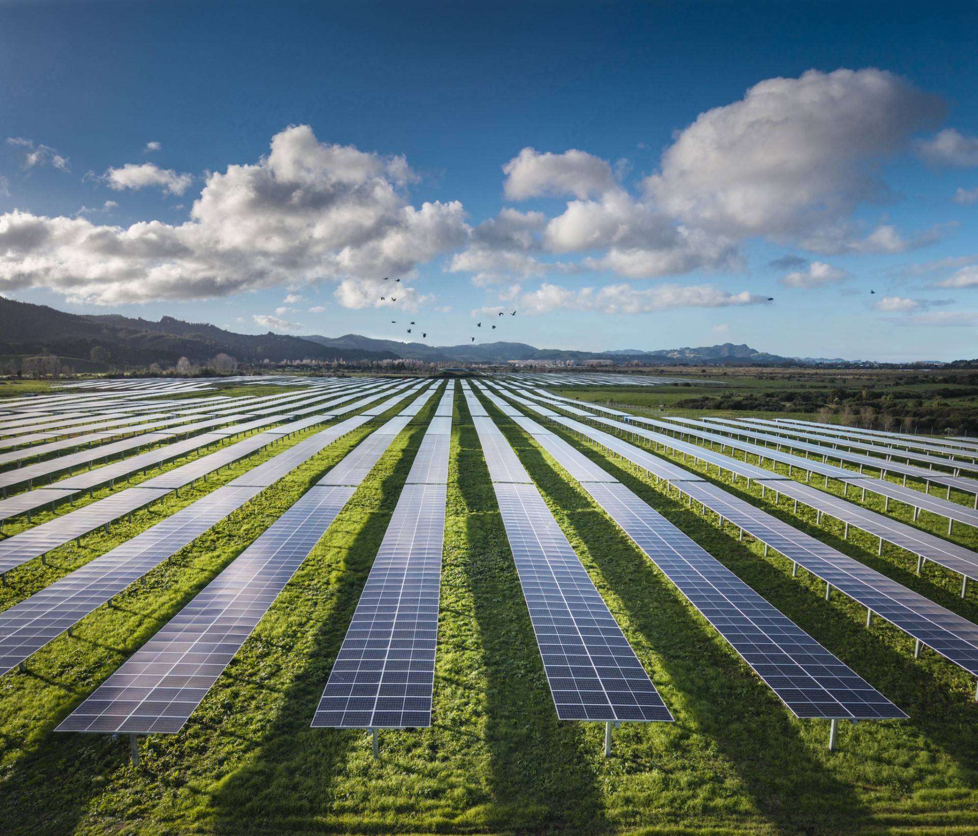 ‘Chasing the sun’ as Lodestone mulls IPO