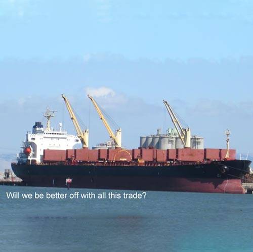 Top five questions over TPP