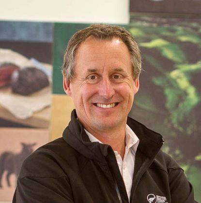 Silver Fern CEO Dean Hamilton steps down