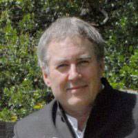 Kiwi companies using extract from totara trees see sales boom