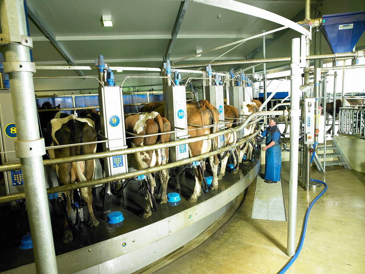 Bad record-keeping, excessive expectations led to hefty fine