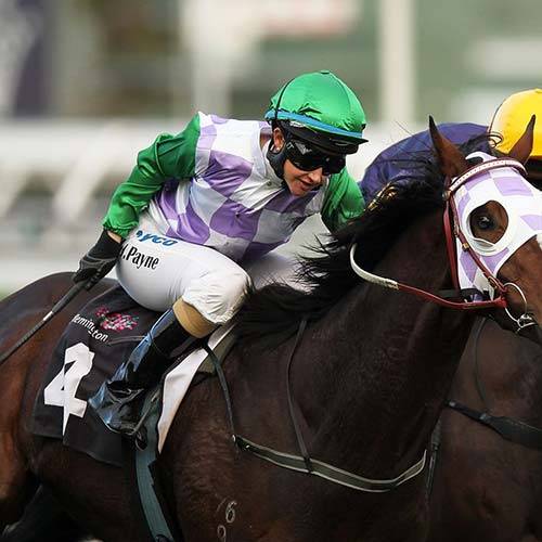 New Zealand-bred Prince of Penzance wins Melbourne Cup