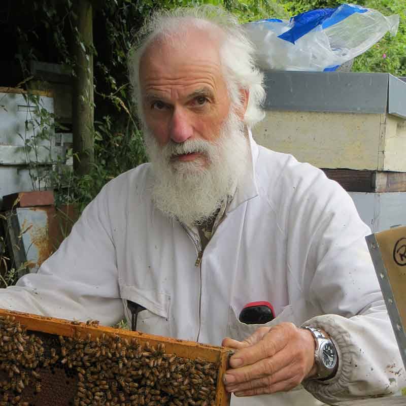 NZ's "basketcase" bee industry seeks govt help to get national body, levies