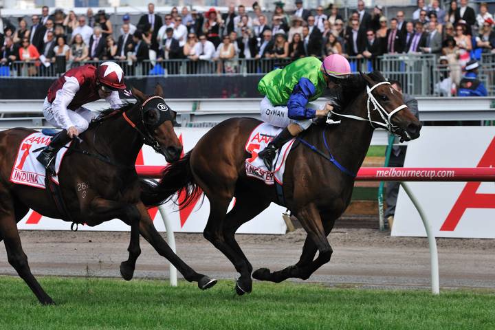 Strong international buyer bench expected at Karaka's Ready to Run Sale