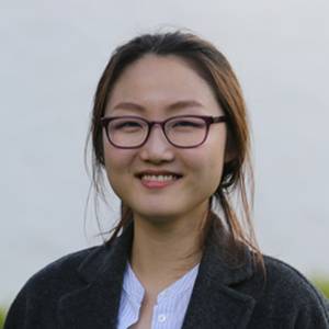 NZ wool prices mixed amid weak, volatile demand