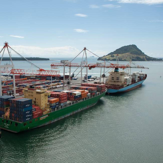 Port of Tauranga plans $140 million capital return
