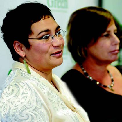 Greens' poll bump is eight years late, says Sue Bradford's biographer