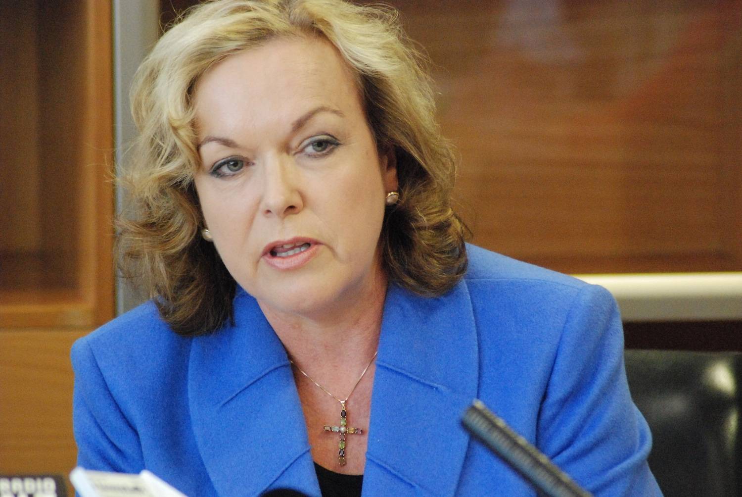 SUBSCRIBER-ONLY POLL RESULT: Has Judith Collins indeed committed career ...