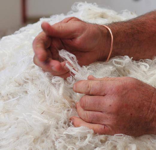 NZ wool auction sees varied selection, higher volumes