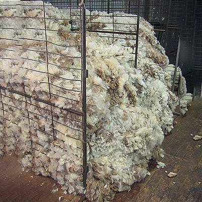 NZ wool auction clearance rate slumps to four-year low